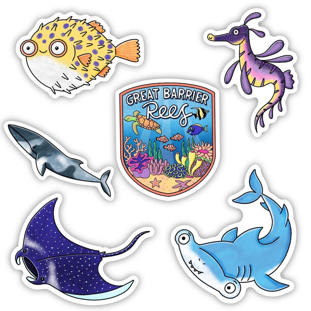 Ocean Life 6 Pack – Big Moods