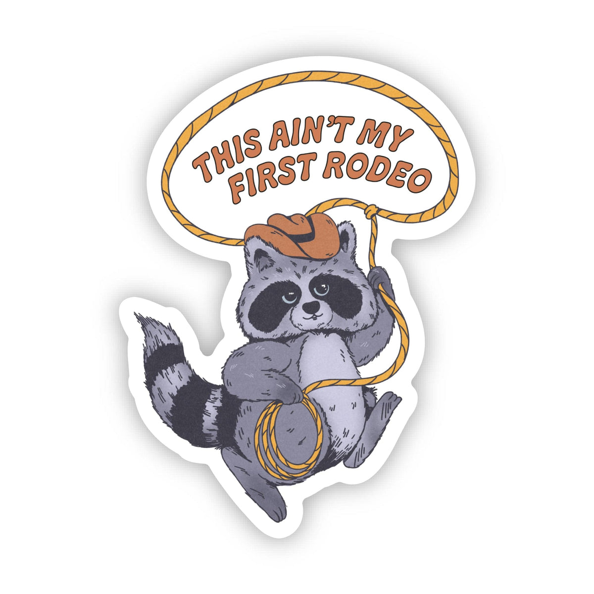 This Ain't My First Rodeo Cowboy Raccoon Lasso Sticker – Big Moods