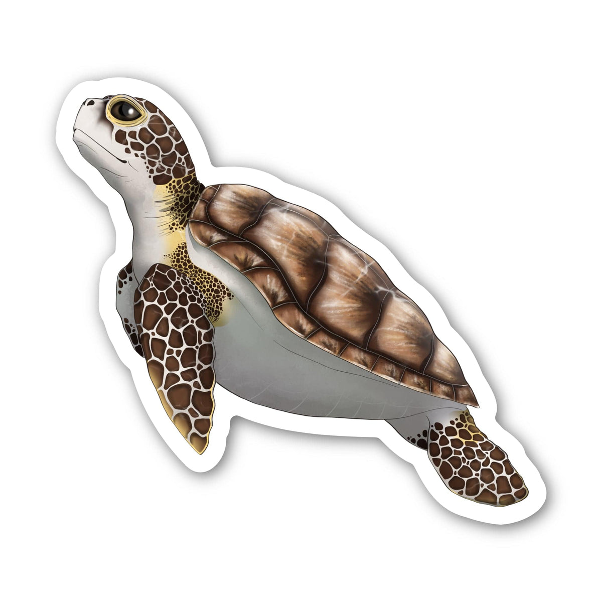 Swimming Turtle Sticker – Big Moods