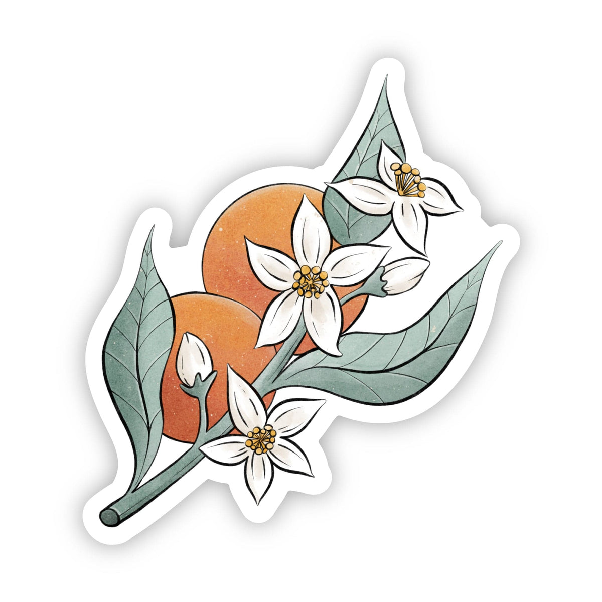 Florida Orange Blossom Flower Sticker – Big Moods