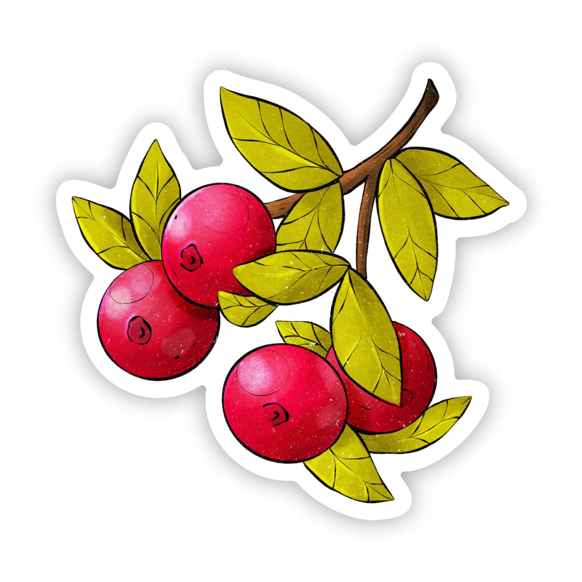 Wisconsin Cranberries Sticker – Big Moods