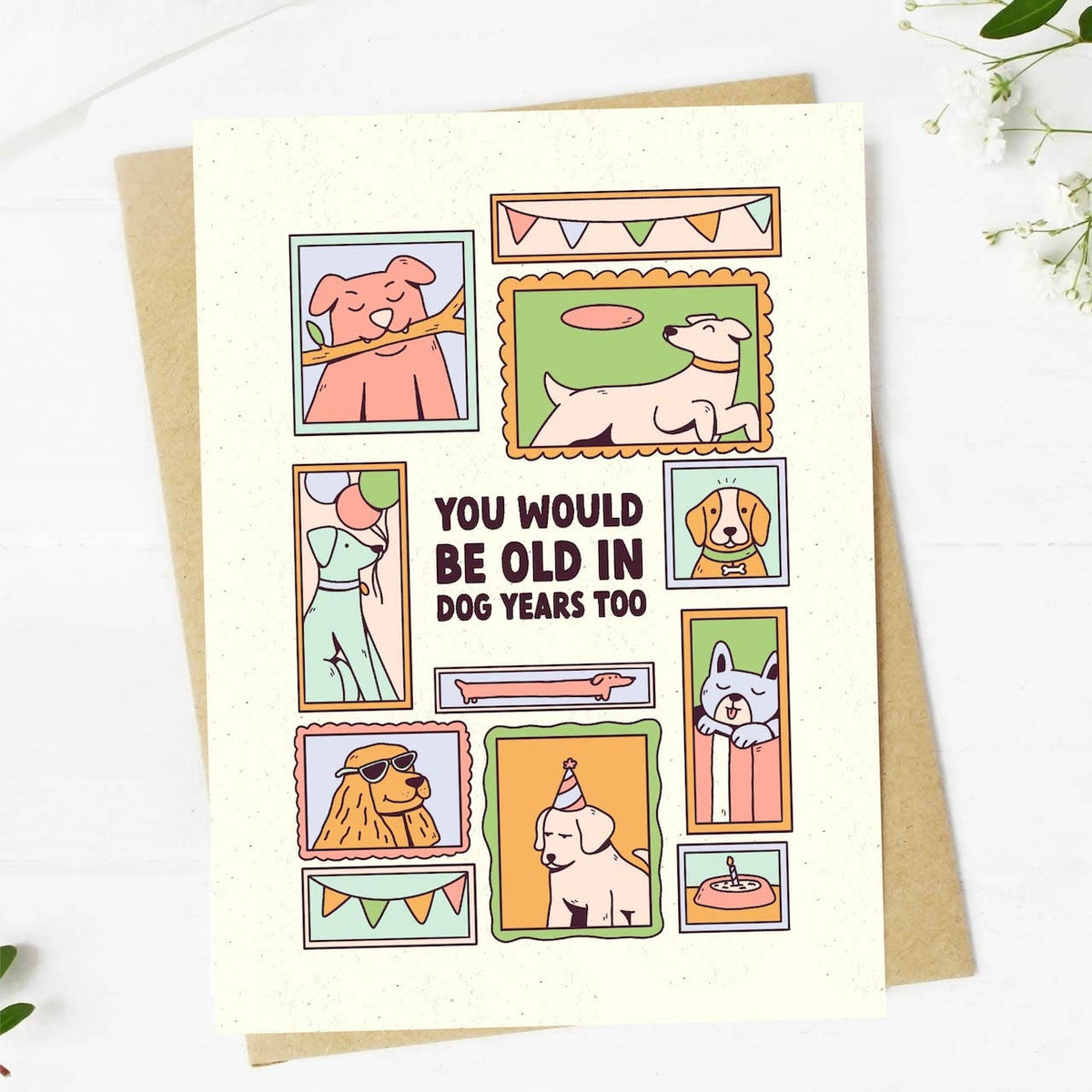 "You would be old in dog years too" birthday card – Big Moods