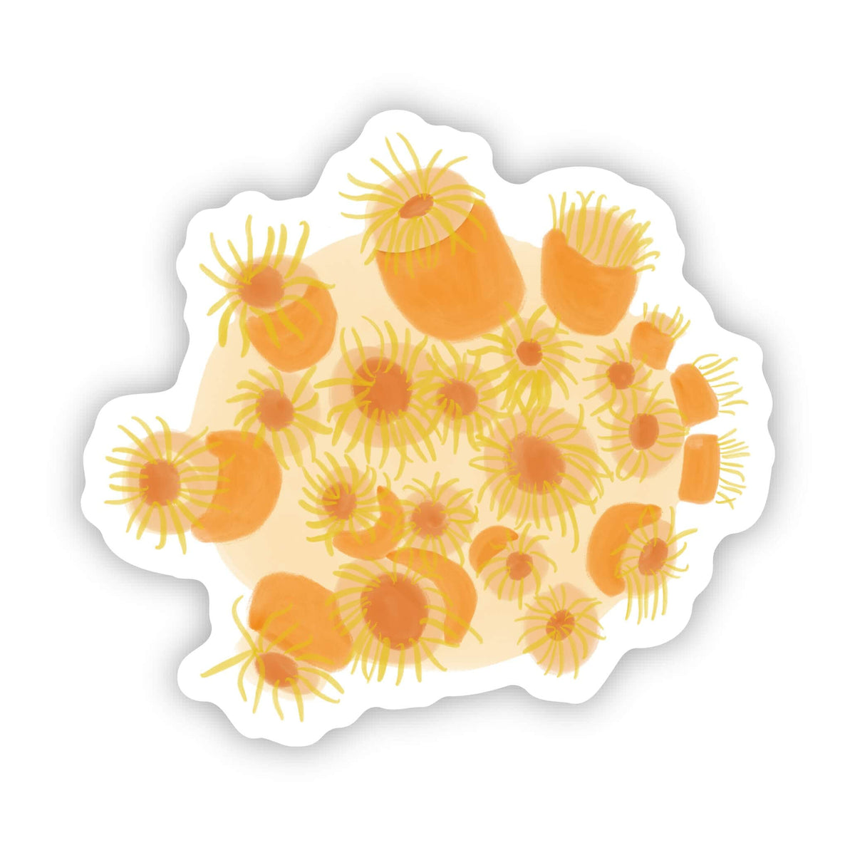 Soft Coral Reel Sticker – Big Moods