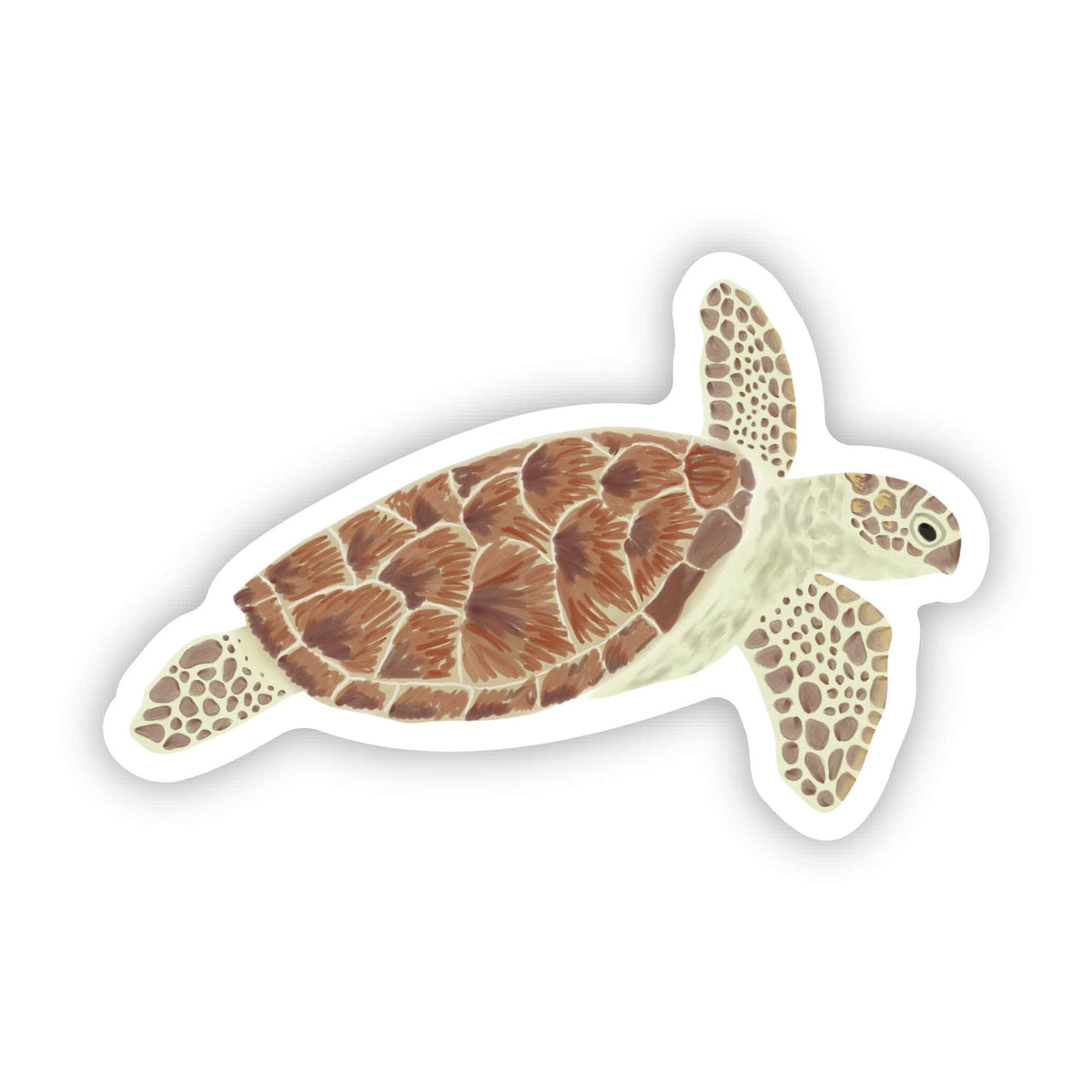 Green Sea Turtle Sticker – Big Moods