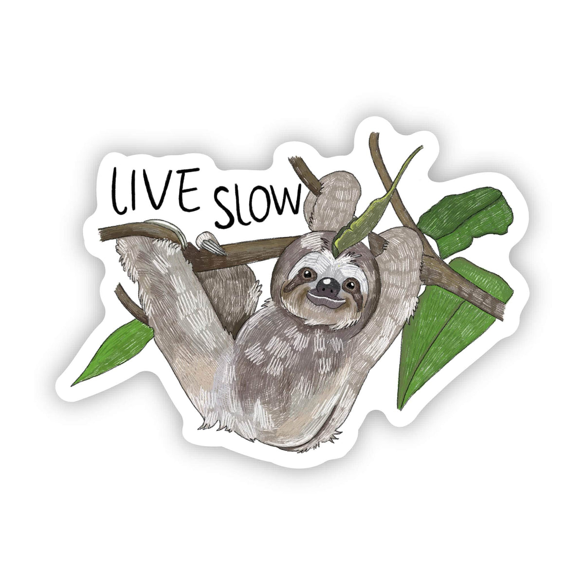 "Live slow" sloth sticker – Big Moods
