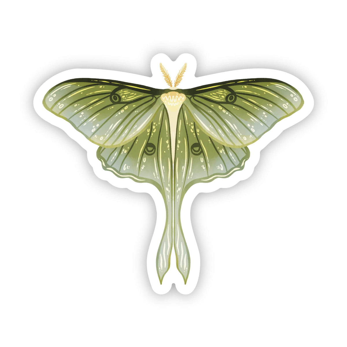 Moth Sticker (Green) – Big Moods