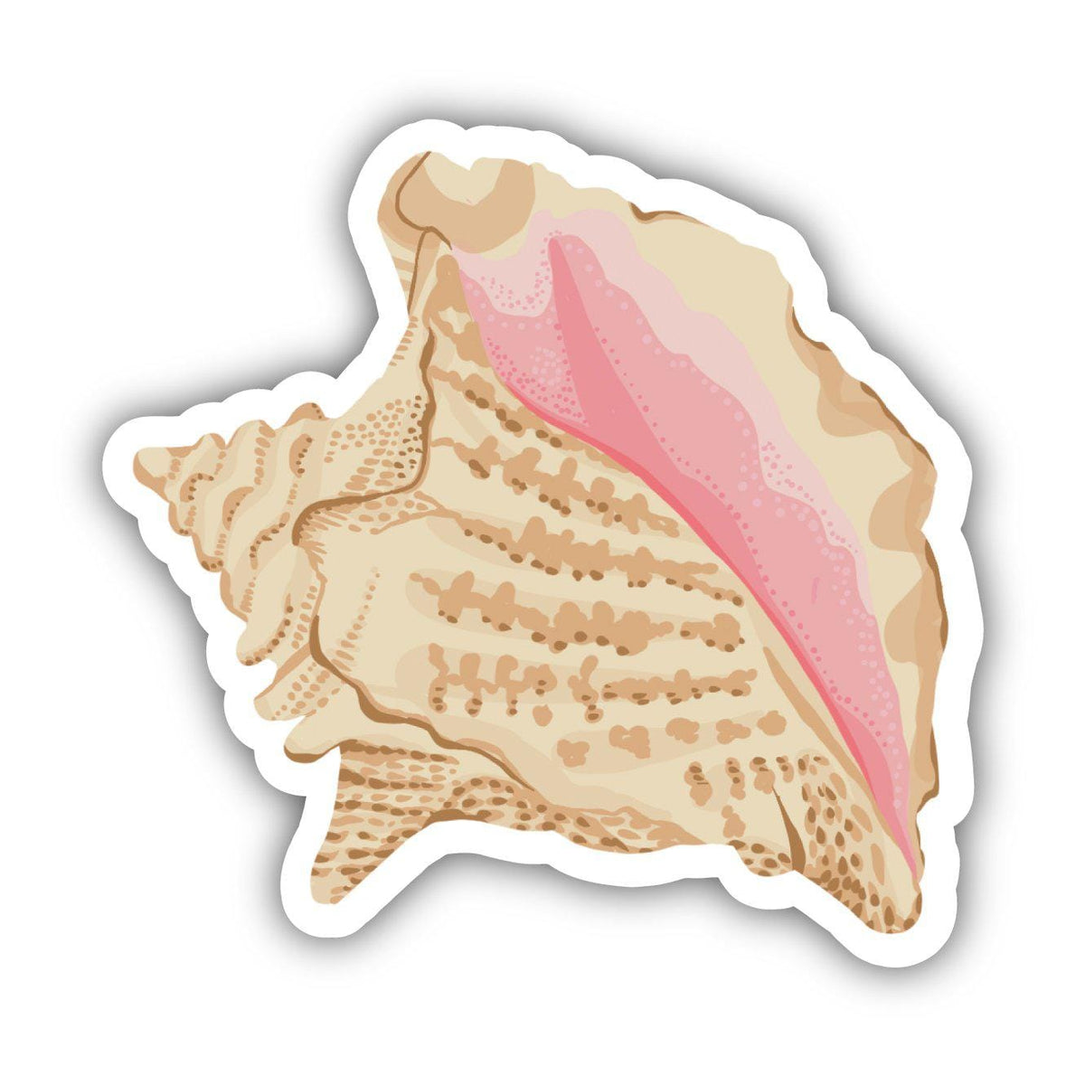 Tan Seashell Sticker – Big Moods