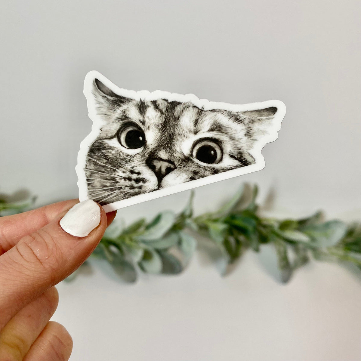 Peeking Cat Sticker – Big Moods