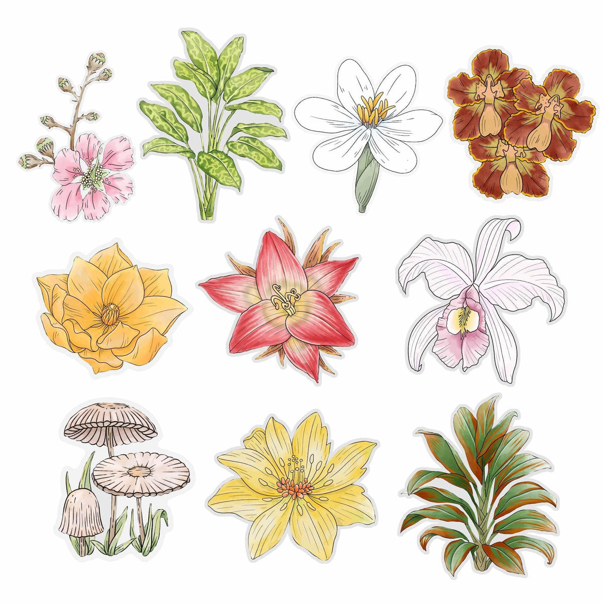 Botanical Clear Stickers 10 Pack – Big Moods