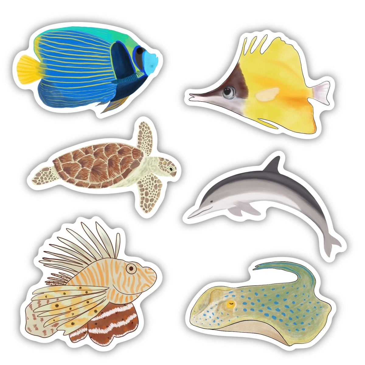 Tropical Fish 6 Pack – Big Moods